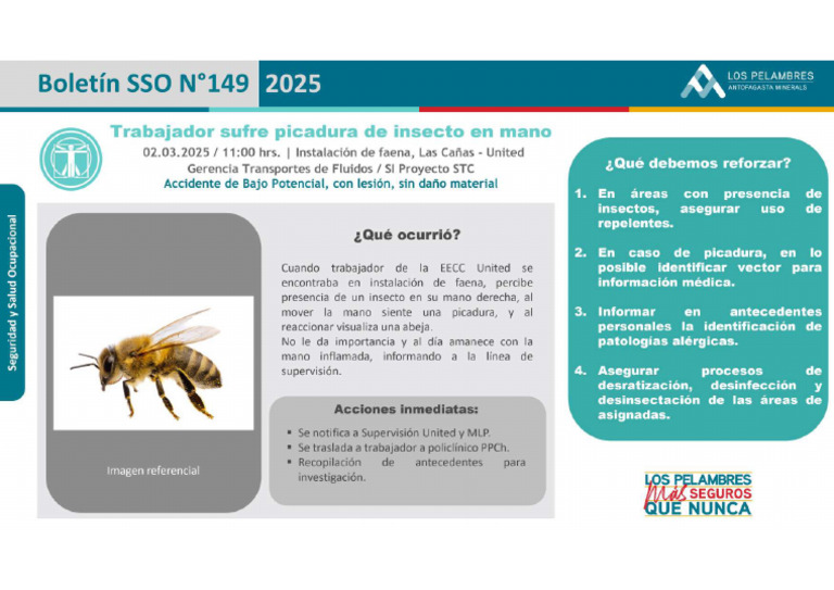 Boletin SSO N°149 | PDF