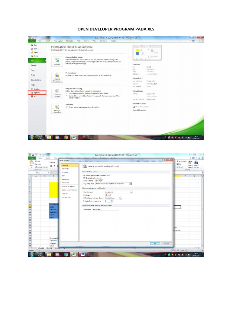 Operasional Developer Program pada XLS | PDF
