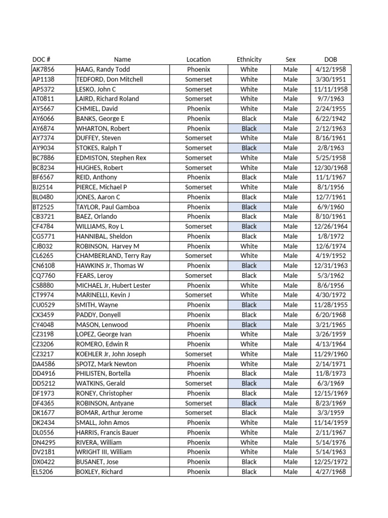 Current Execution List | PDF