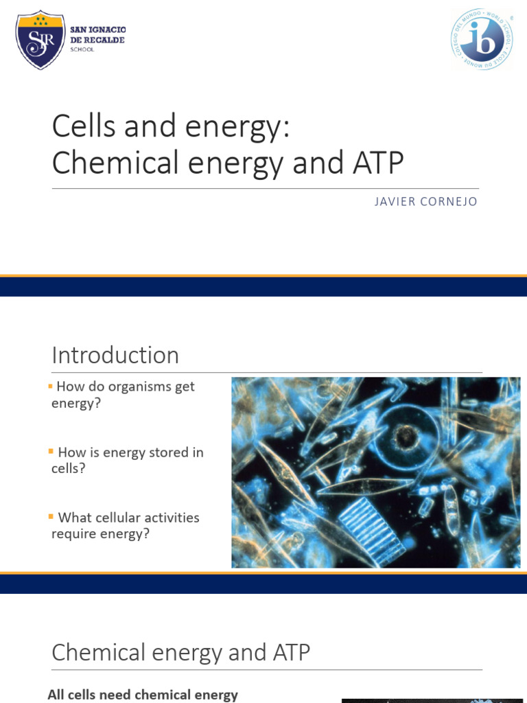 10th_2025-I-01_-_Chemical_energy_and_ATP (1) | PDF | Adenosine Triphosphate | Adenosine Diphosphate