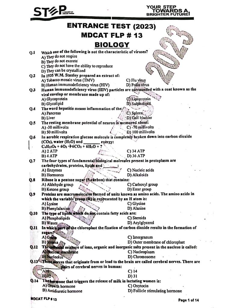FLP 13 STEP 2023 + Key | PDF