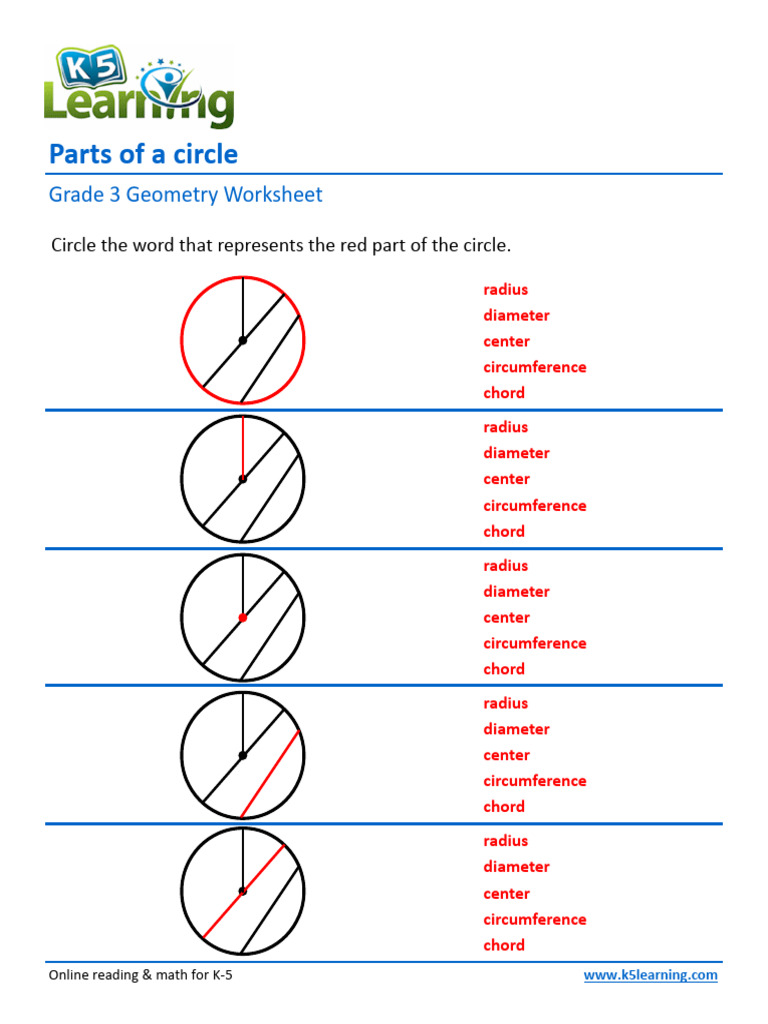 Grade 3 Circle Parts Worksheet | PDF | Circle | Diameter