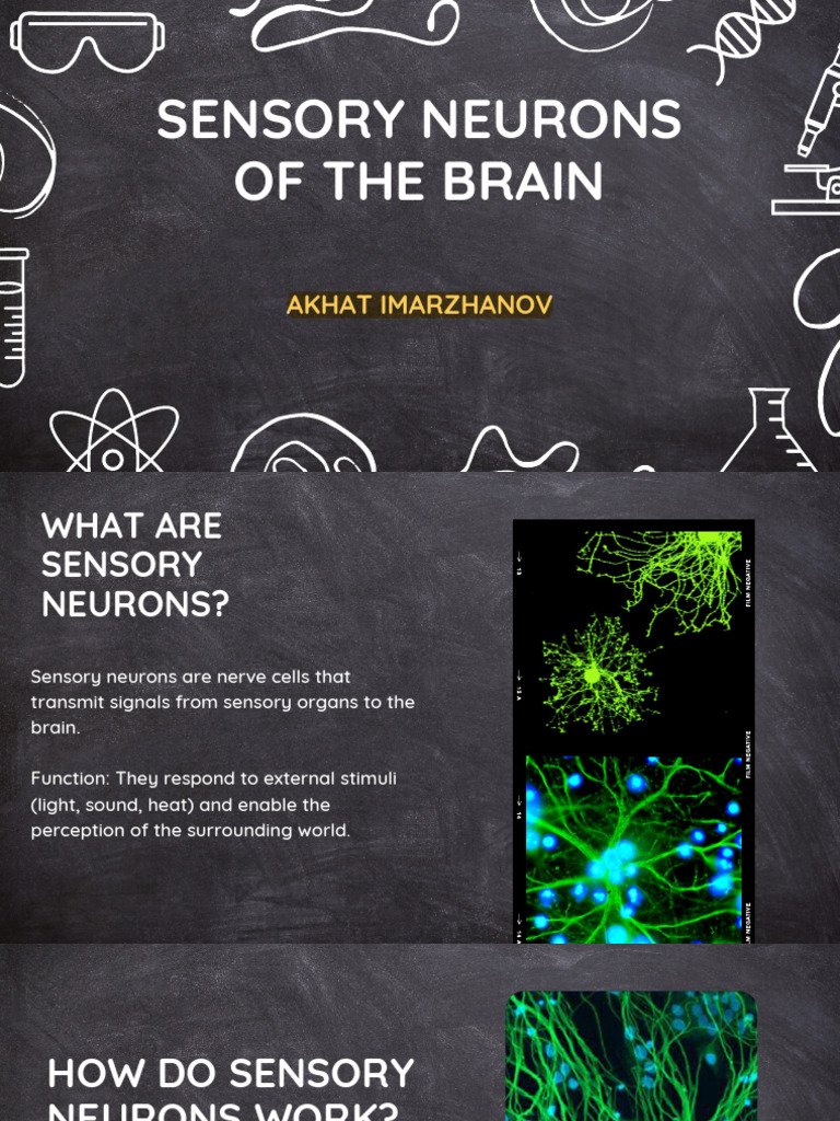 Introduction To Science PDF | PDF