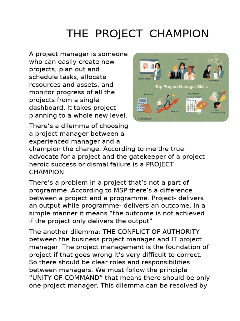 The Project Champion | PDF