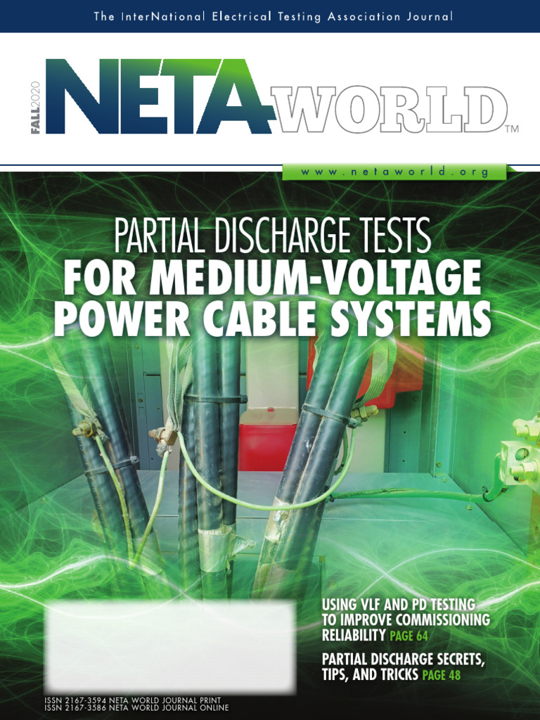 Neta Partial Discharge Secrets Tips Tricks Reprint | PDF | Electricity | Electrical Components