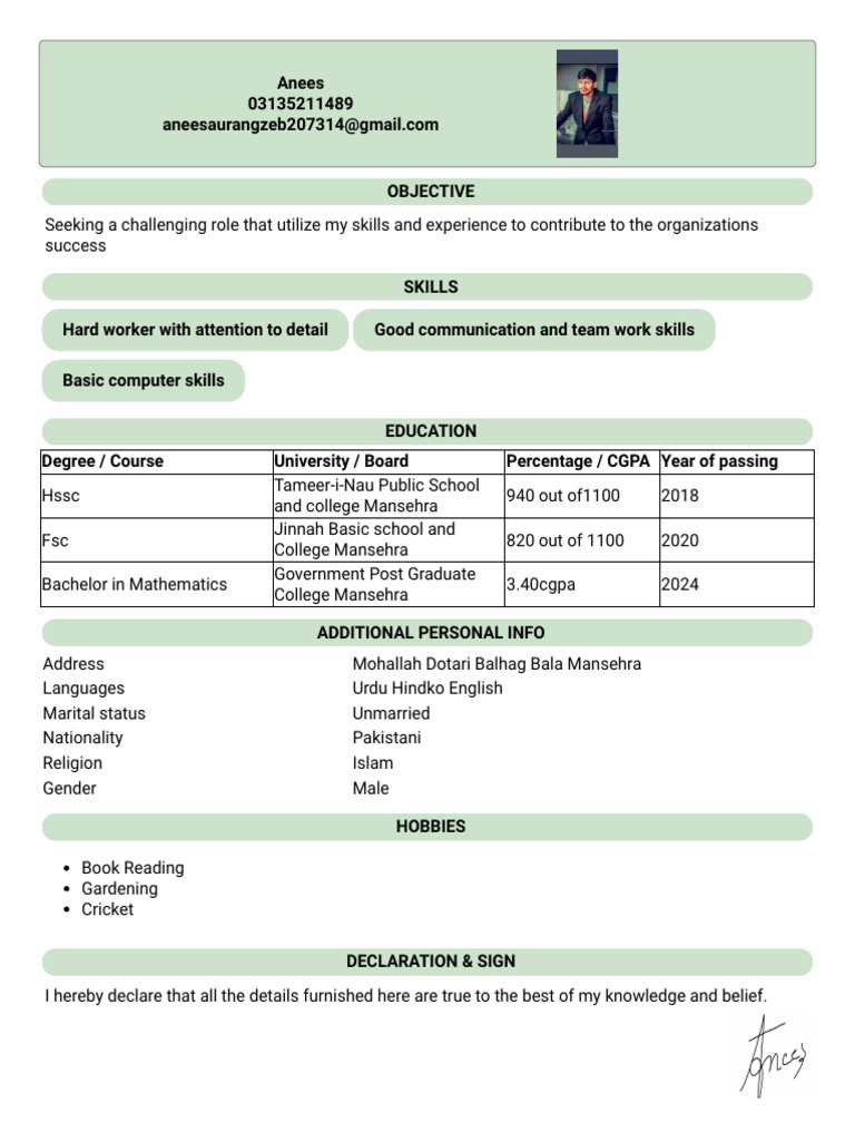 Resume of Anees from Balhag | PDF