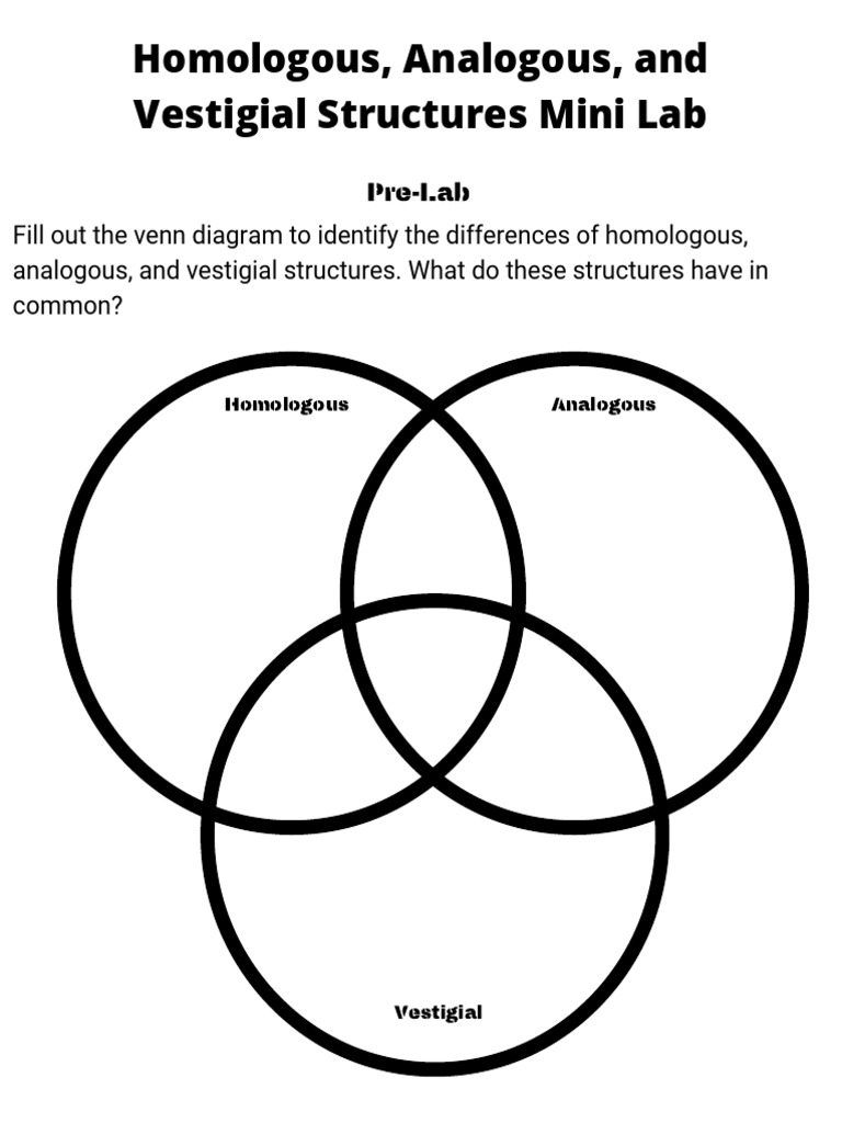 Homologous, Analogous, and Vestigial Structures Mini Lab | PDF