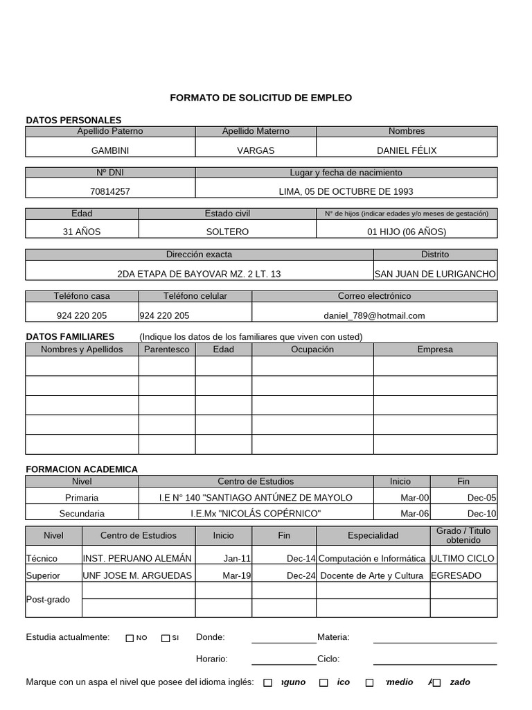 Formato de Solicitud de Empleo 2025 | PDF