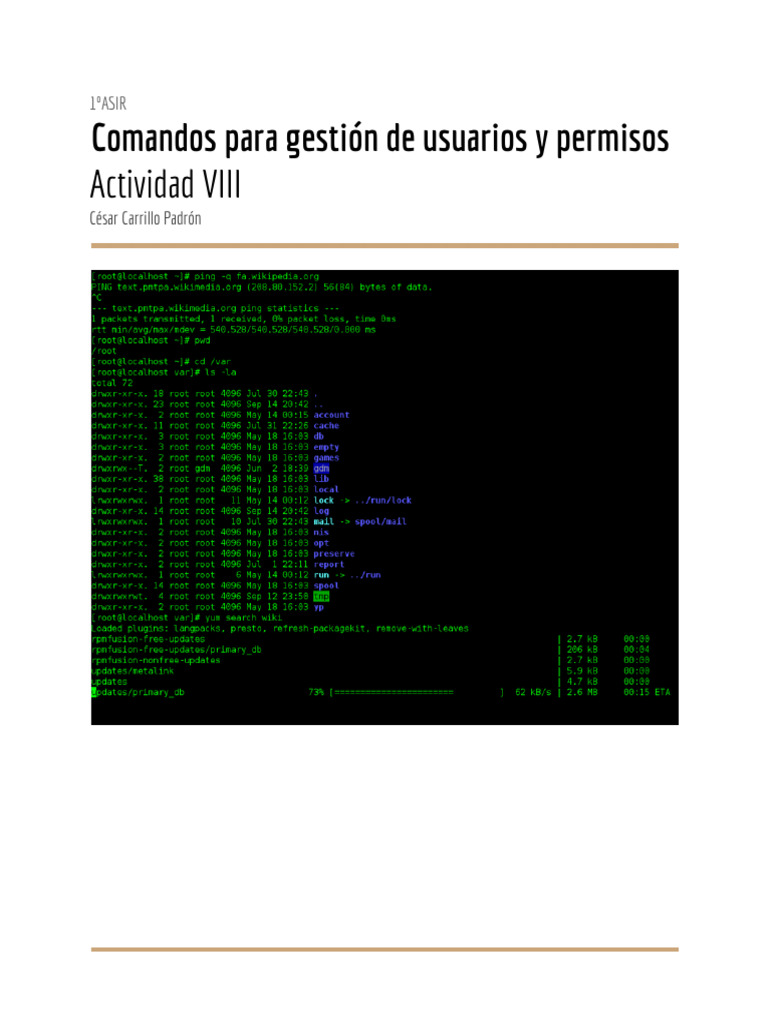 Actividad VIII-Comandos para Gestión de Usuarios y Permisos | PDF | Archivo de computadora ...