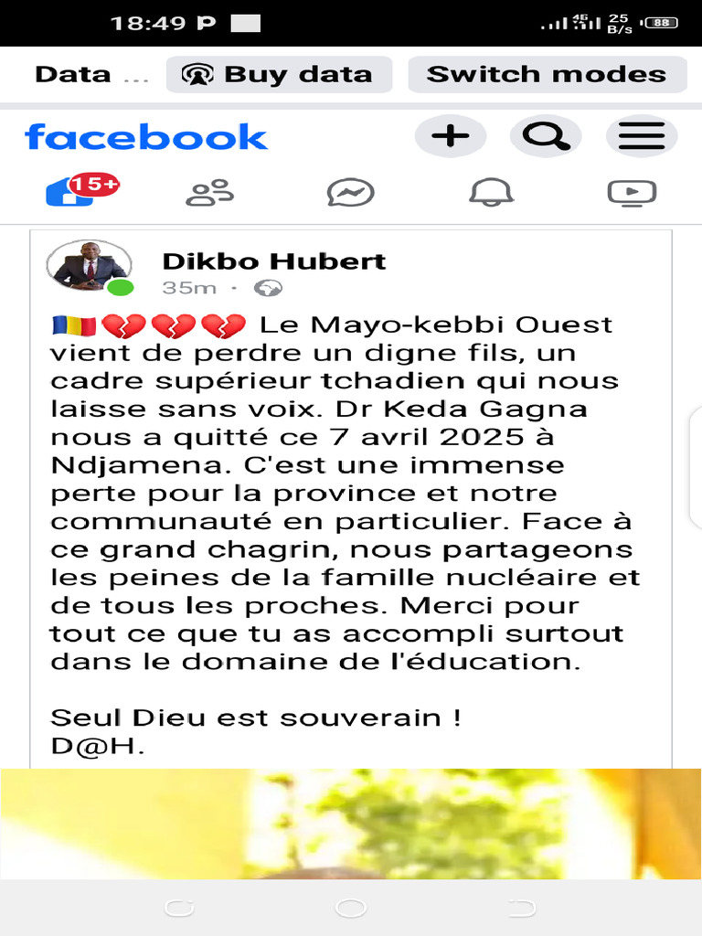 PDF Phoenix 20250407 185013 | PDF