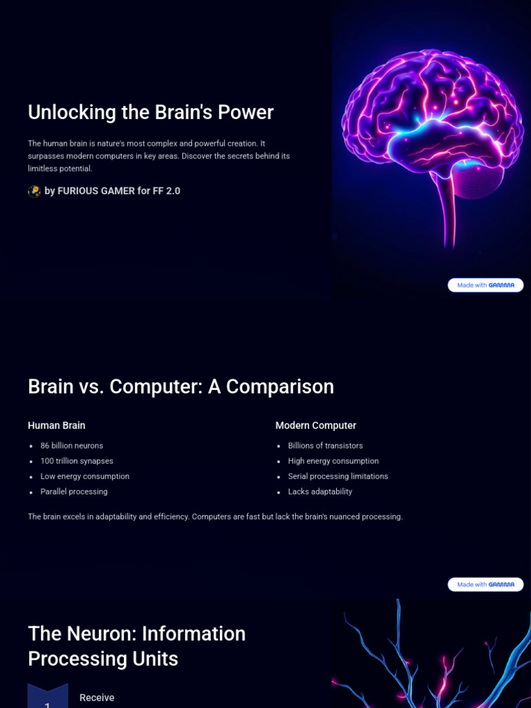 Unlocking-the-Brains-Power | PDF | Brain | Memory