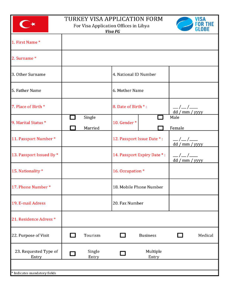 Visa Application | PDF