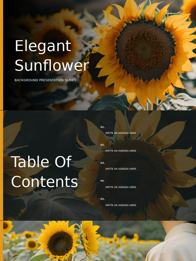 Elegant Sunflower Background Slides | PDF