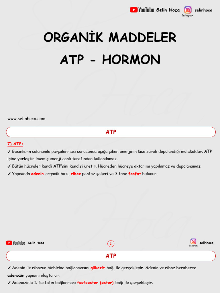 10) ATP Hormon | PDF