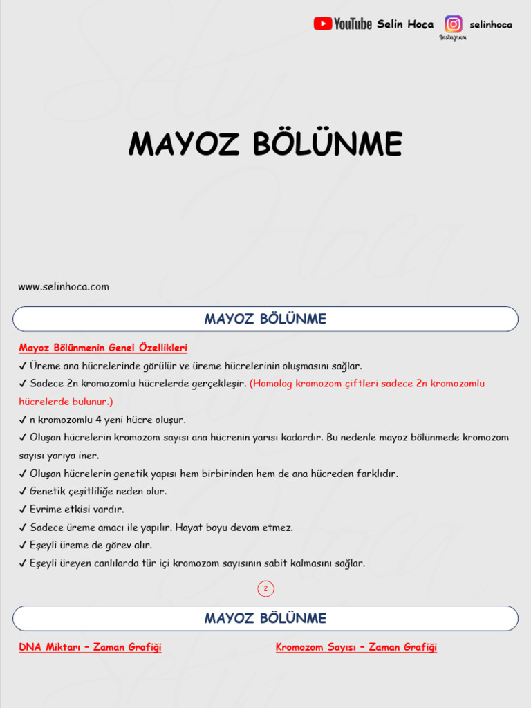 4) Mayoz Bölünme 2 (1) | PDF