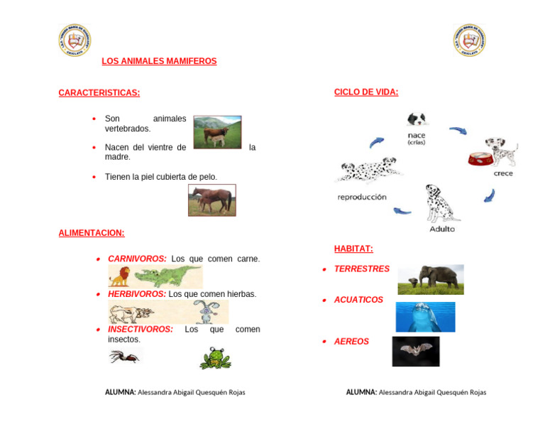 LOS ANIMALES MAMIFEROS | PDF