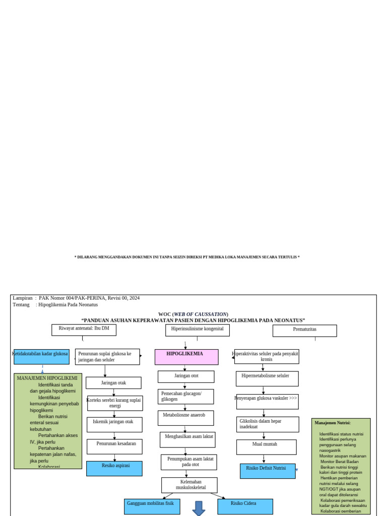 Lampiran WOC Panduan Asuhan Keperawatan Pasien Dengan Hipoglikemia Pada ...