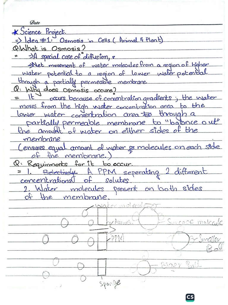 BIOLOGY (Osmosis) | PDF
