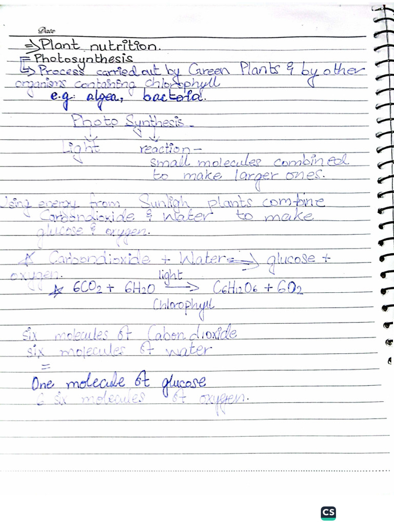 BIOLOGY (Plant Nutrition) | PDF