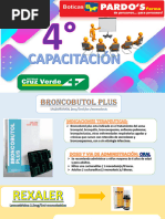 Dorcol Forte Inserto | PDF | Tableta (Farmacia) | Drogas