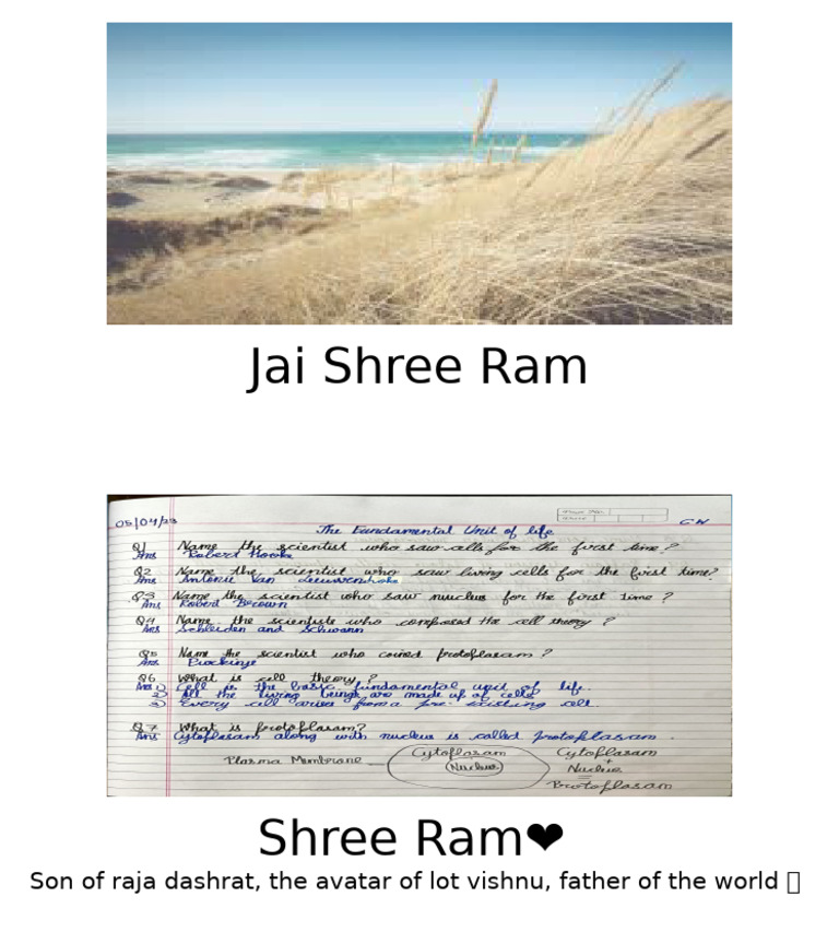 Jai Shree Ram | PDF