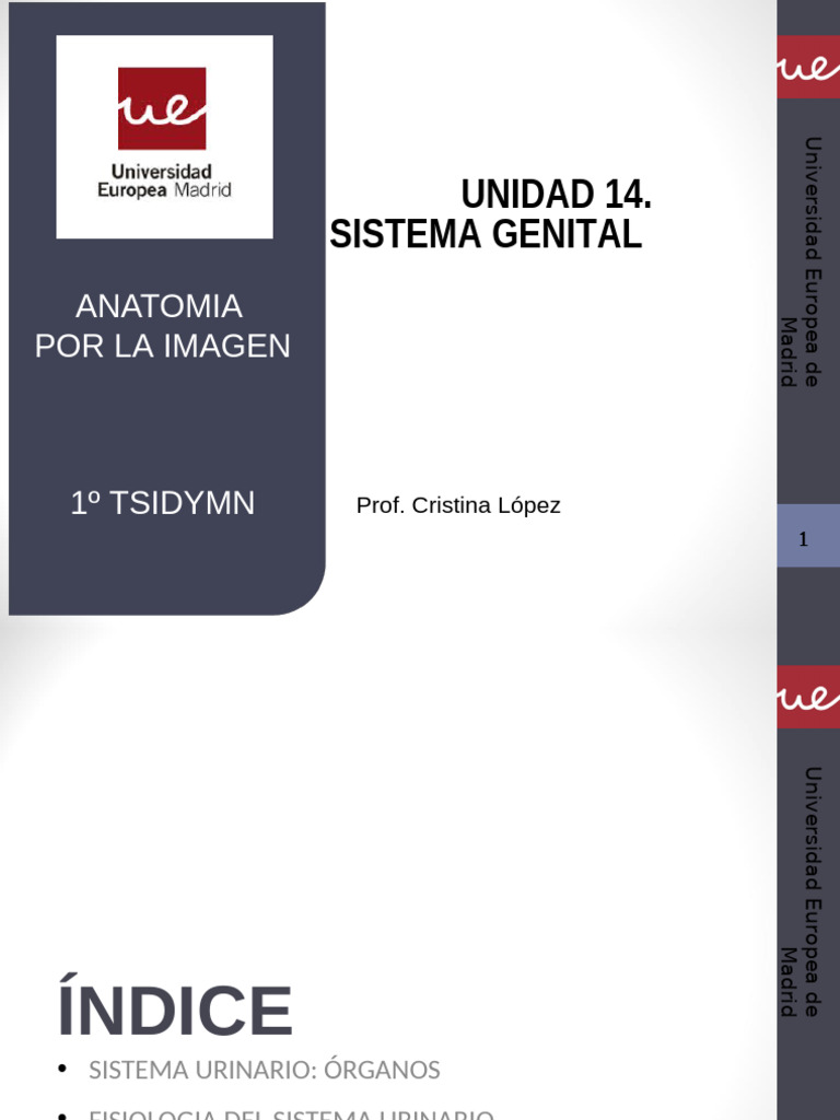 AR Ut14 Completo | PDF | Pecho | Labios