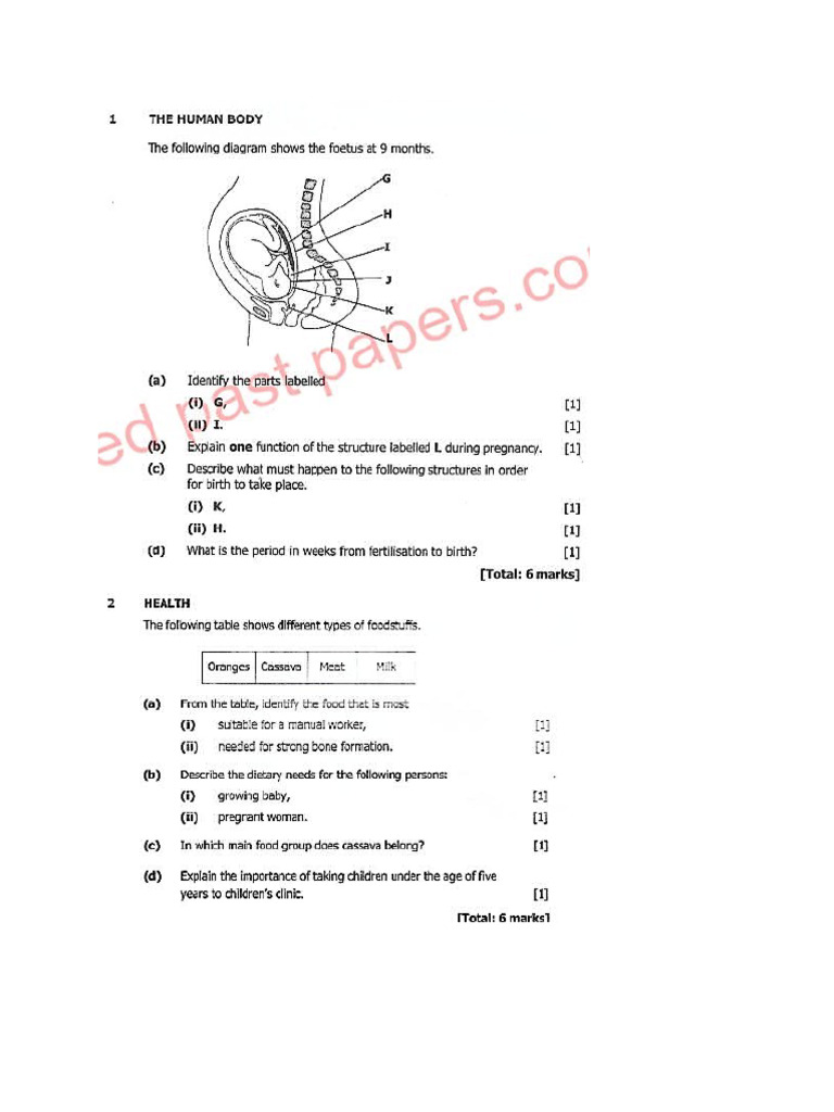 2024 Gce | PDF