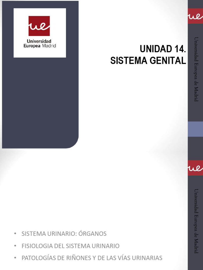 AR Ut14 Completo | PDF | Pecho | Labios