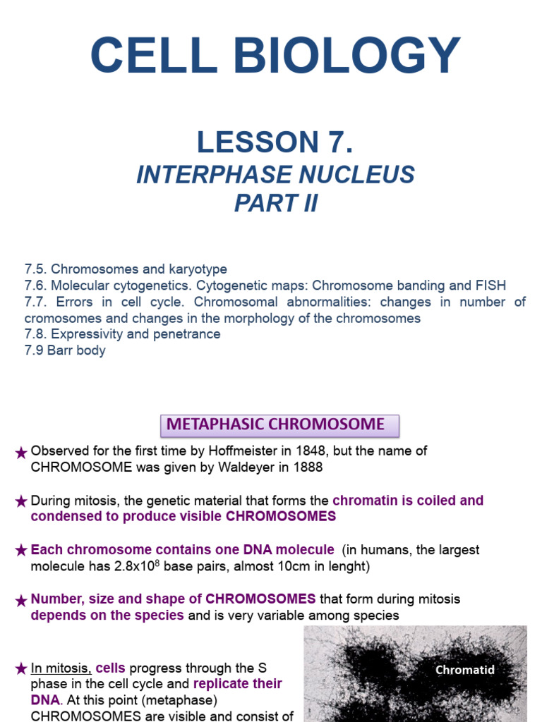 Unit 7 Nucleus. PART II (Contains Answers To The Questions Contained in ...