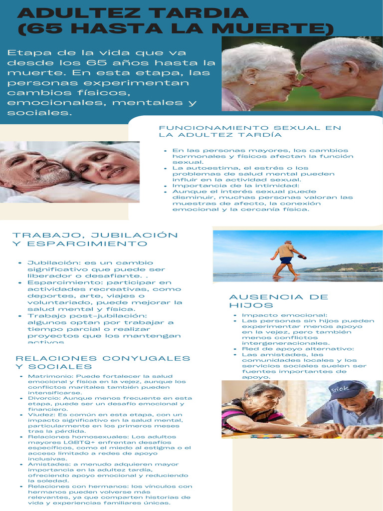 Etapas Del Desarrollo Infografia | PDF | Adultos | Vejez