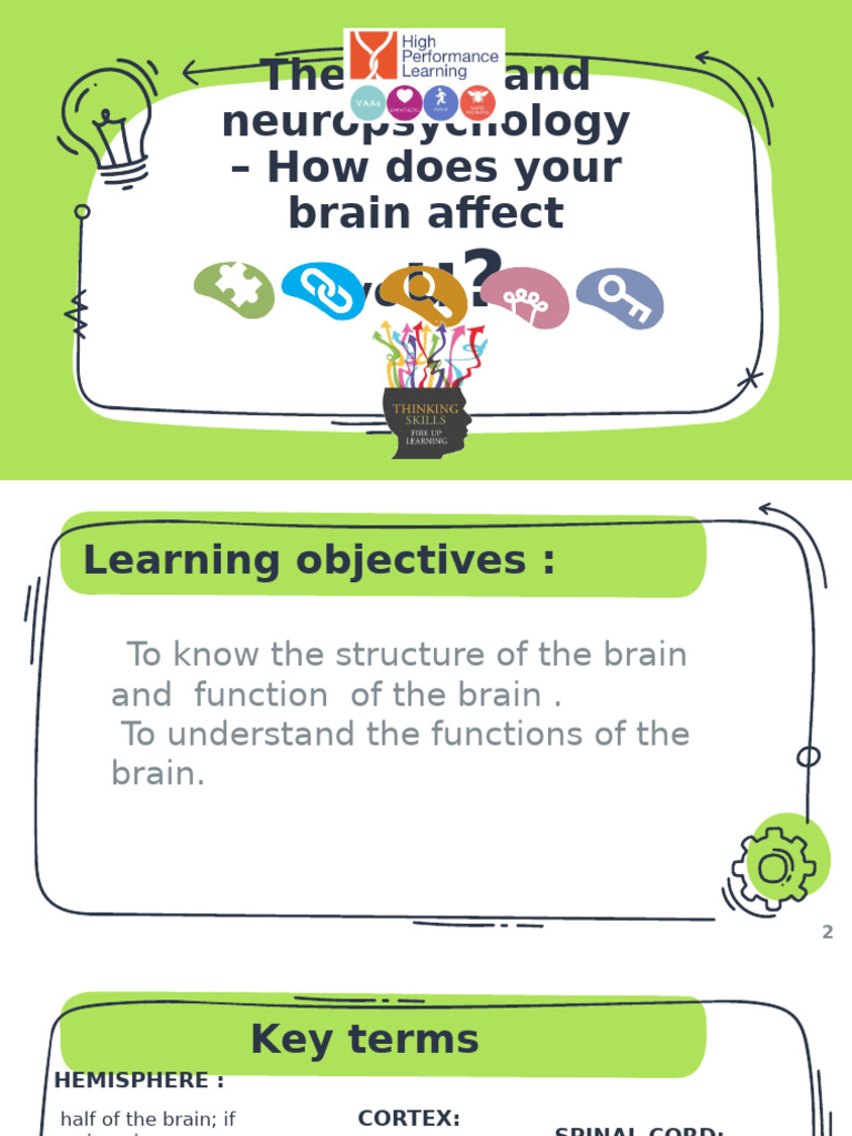 Curio SlidesCarnival | PDF | Brain | Color