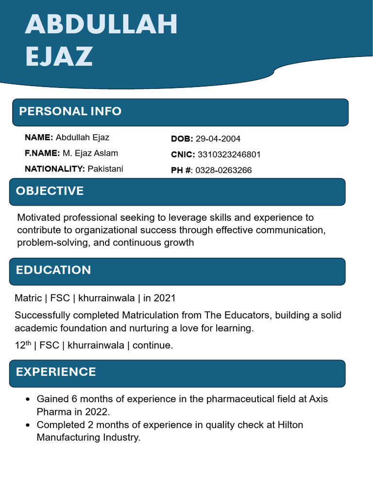 Abdullah Ejaz: Professional Profile | PDF