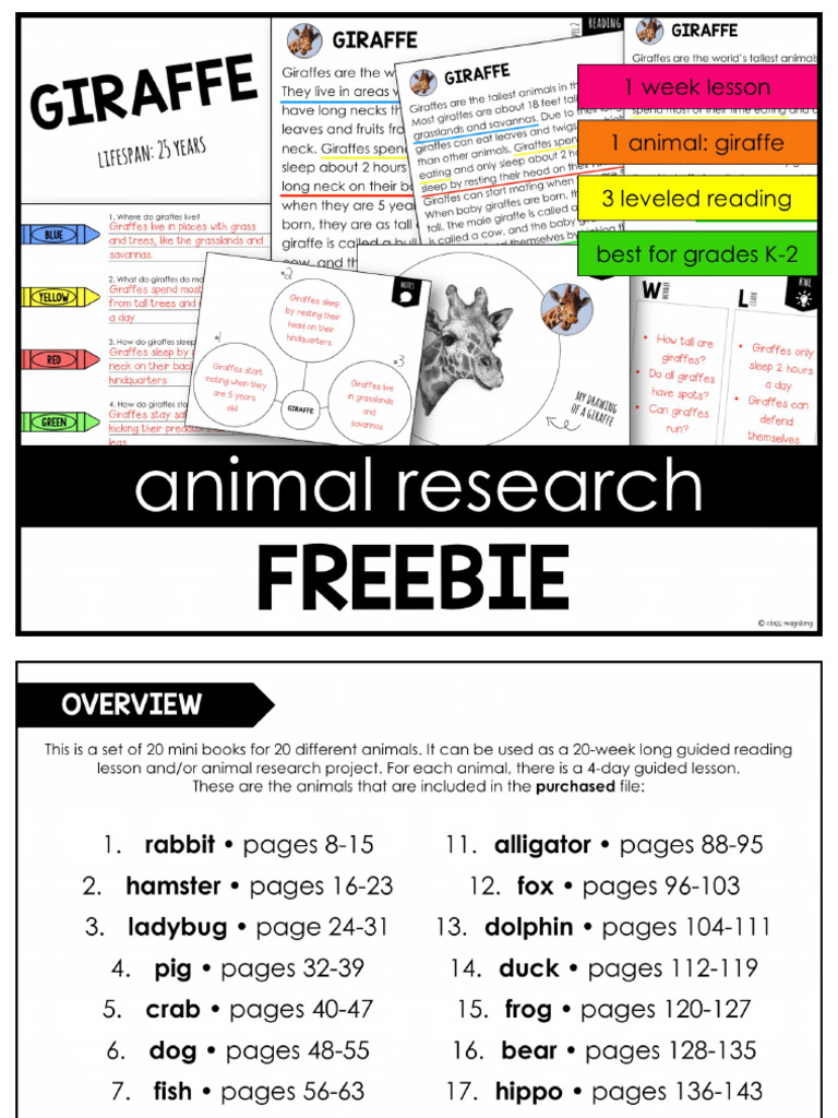 Animal Research FREEBIE | PDF