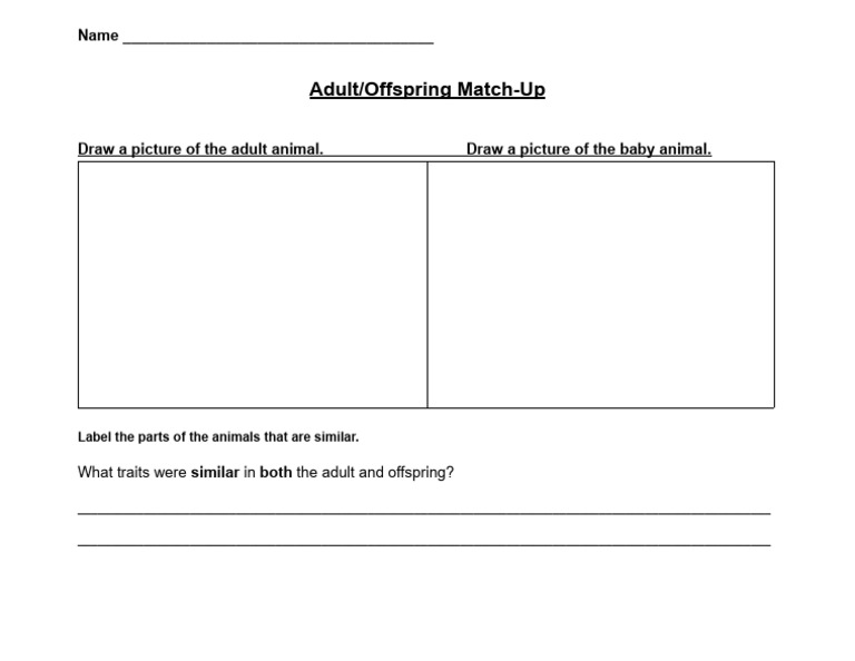 Adult and Offspring Animal Match-Up Activity | PDF