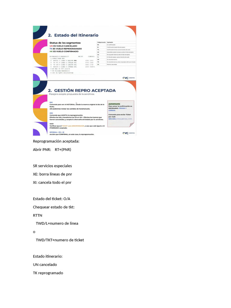 Reprogramación Amaedus | PDF