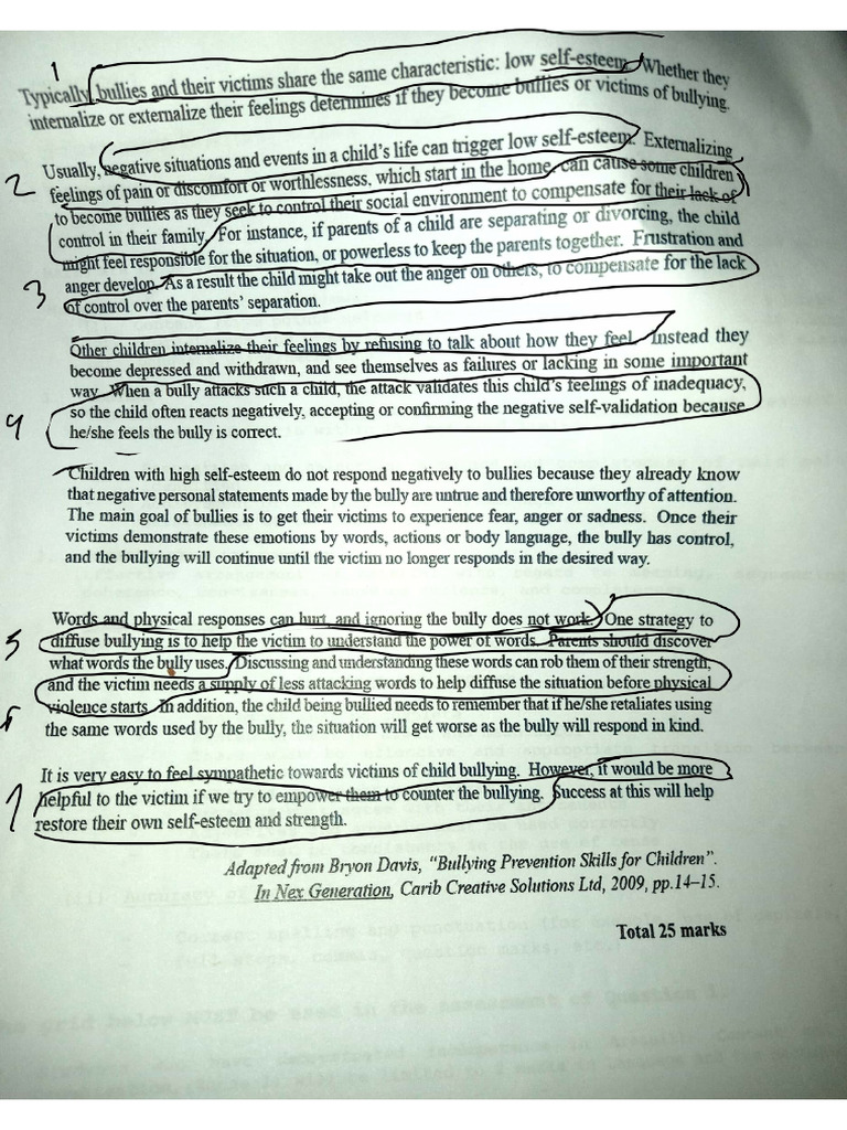 BULLYING SUMMARY | PDF