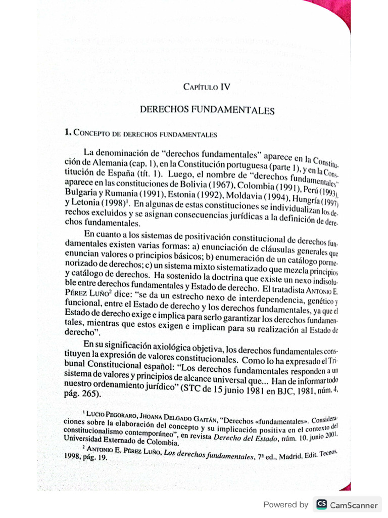 Derechos Fundamentales | PDF