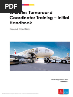Iata Declaration Form Template Multimodal 2025 | PDF | Dangerous Goods ...