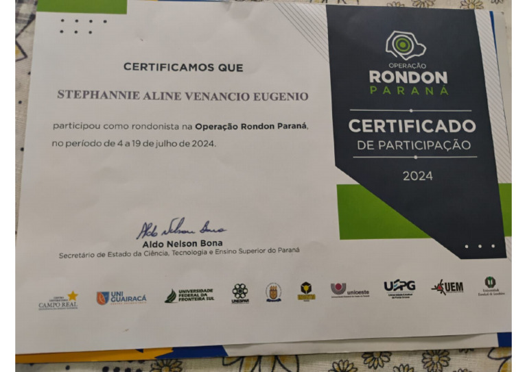 Alínea 2 Extensão | PDF