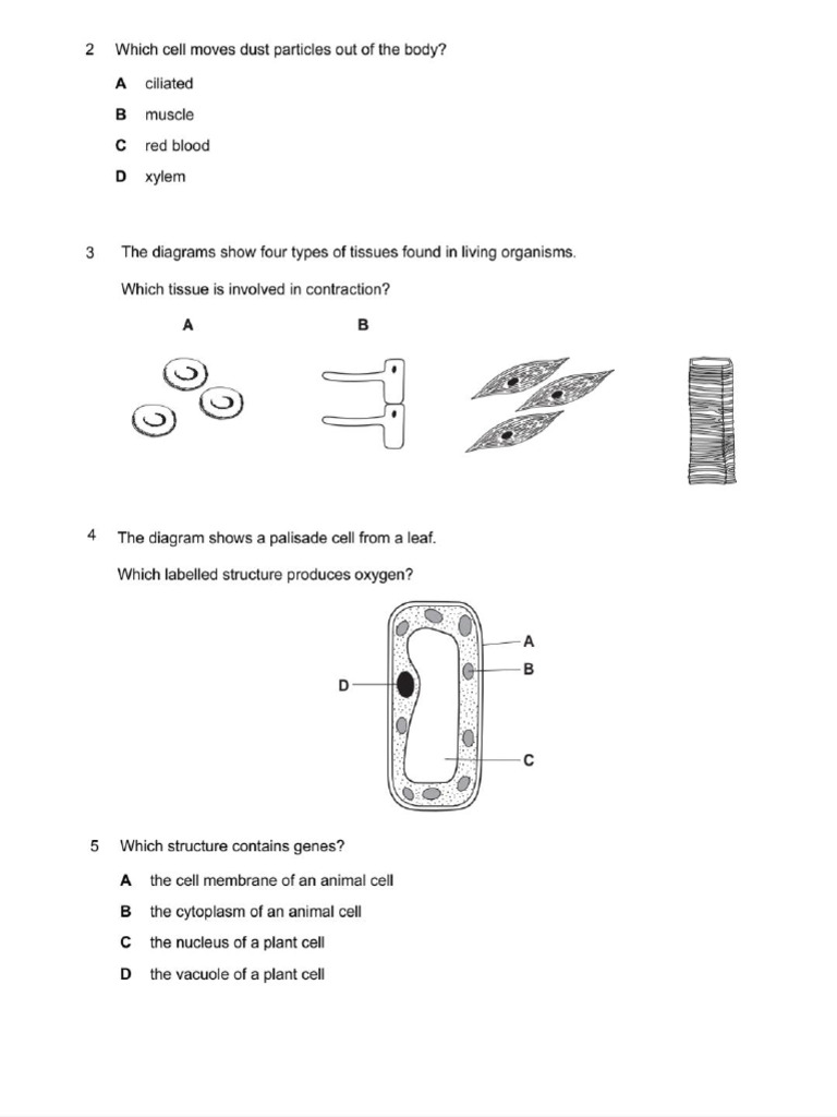 Grand Test Cells, Transport, Enzymes | PDF