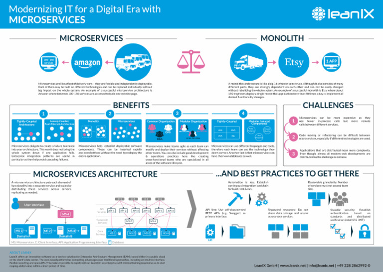 leanix_poster-Microservices | PDF
