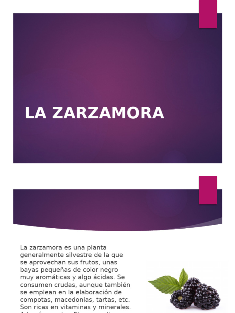 Propiedades curativas de la zarzamora | PDF | Asia