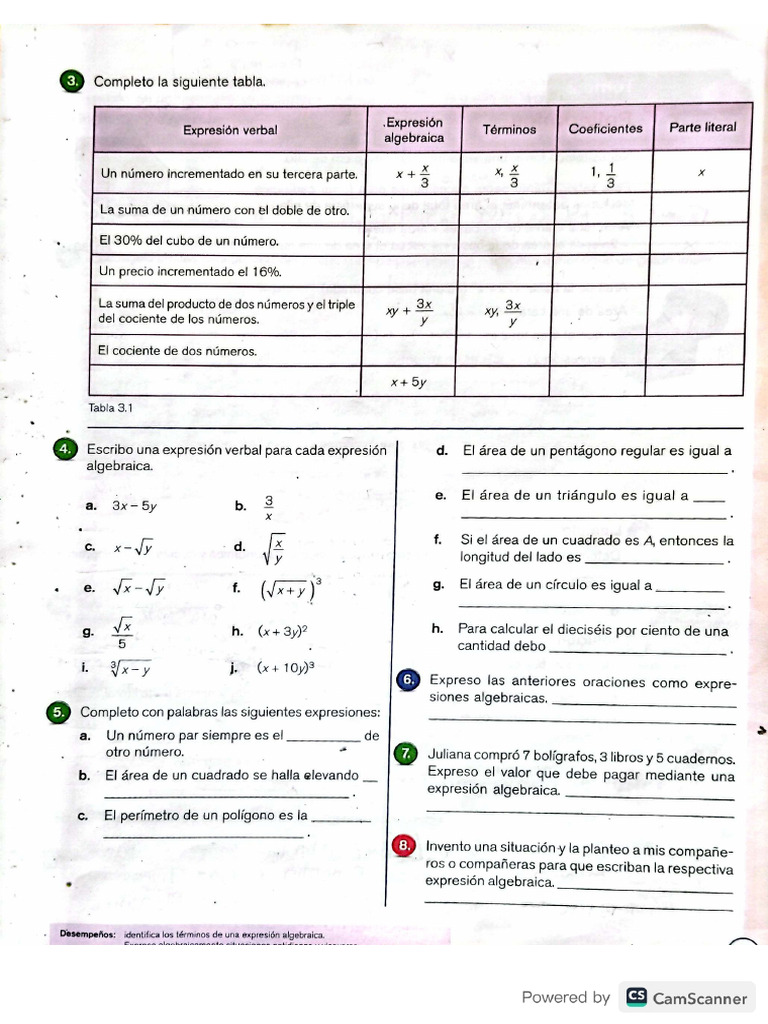 Taller de expresiones algebraicas | PDF