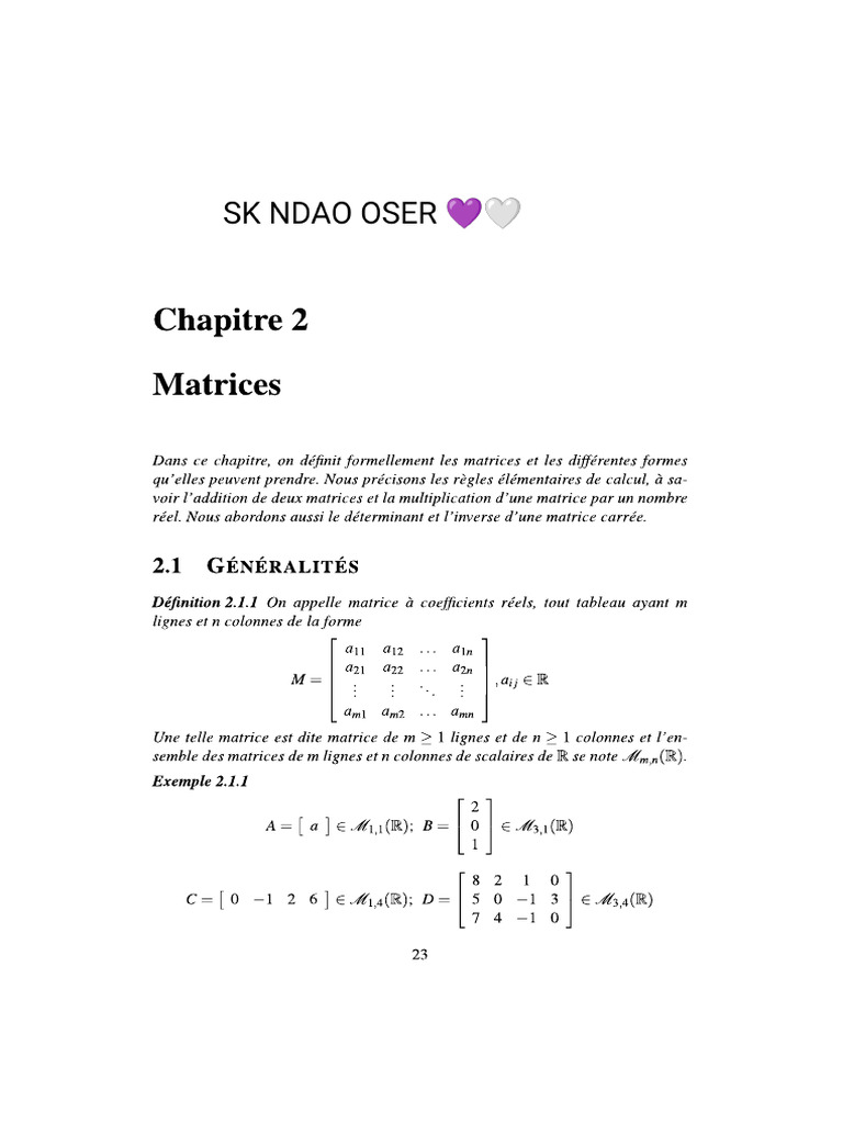 (SK NDAO) Chap 2 Matrices L1 | PDF