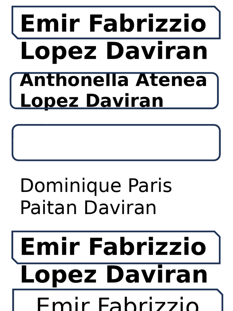 Emir Fabrizzio Lopez Daviran | PDF