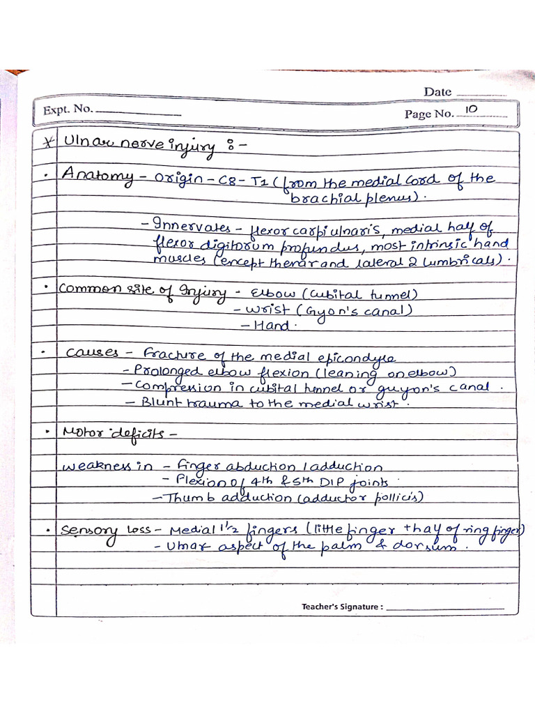 Nerve Practical | PDF
