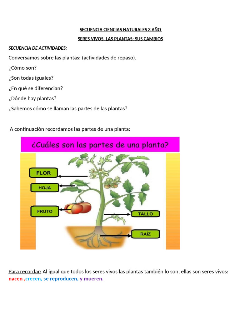 SECUENCIA Cambios en Las Plantas 3 B | PDF | Botánica | Plantas