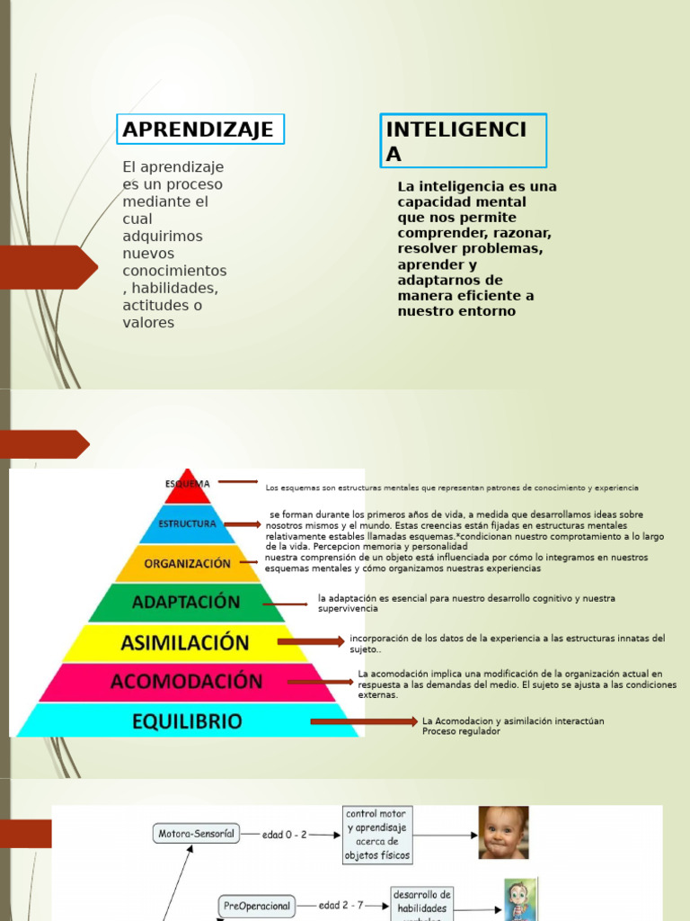 Aprendisaje y Desarrollo Cognitivo Piaget Point | PDF