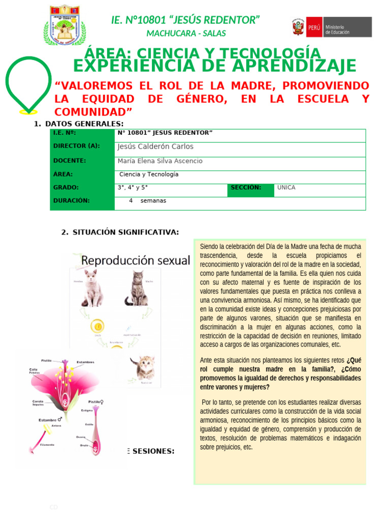 PROYECTO DE APRENDIZAJE N° 02_CYT - 2024 | PDF | Reproducción | Plantas