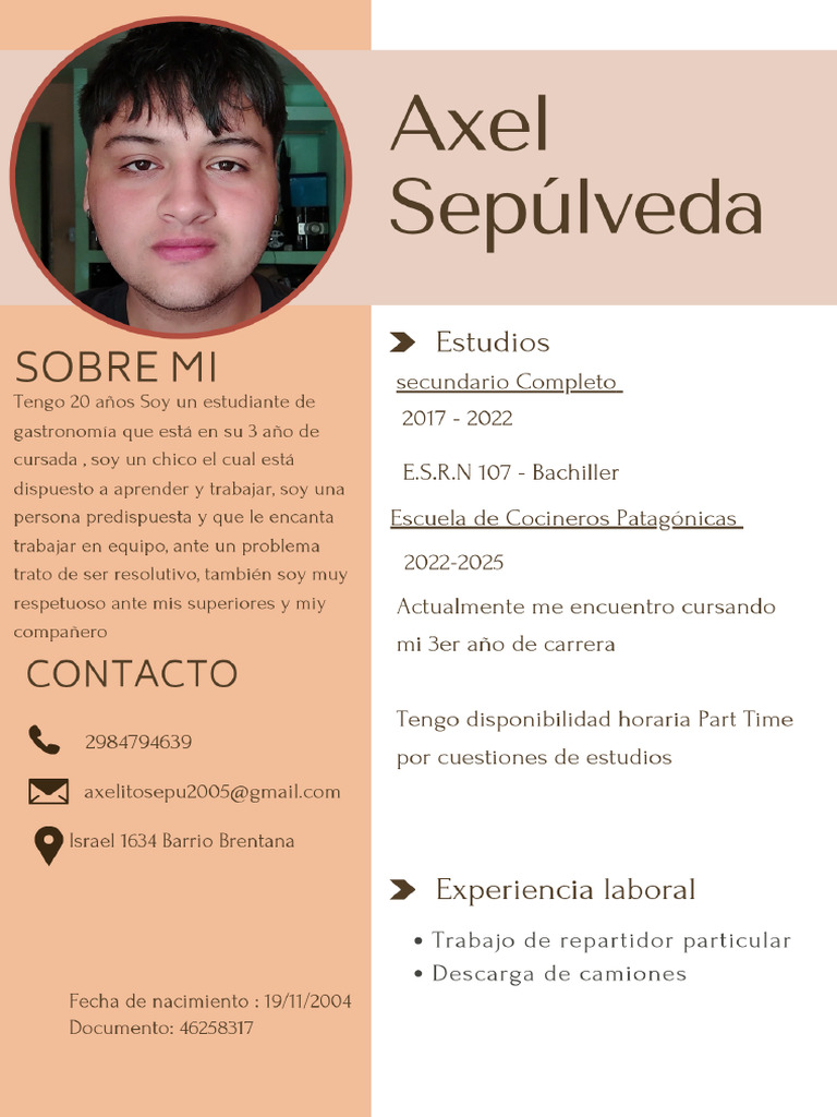 CV Axel Sepúlveda | PDF